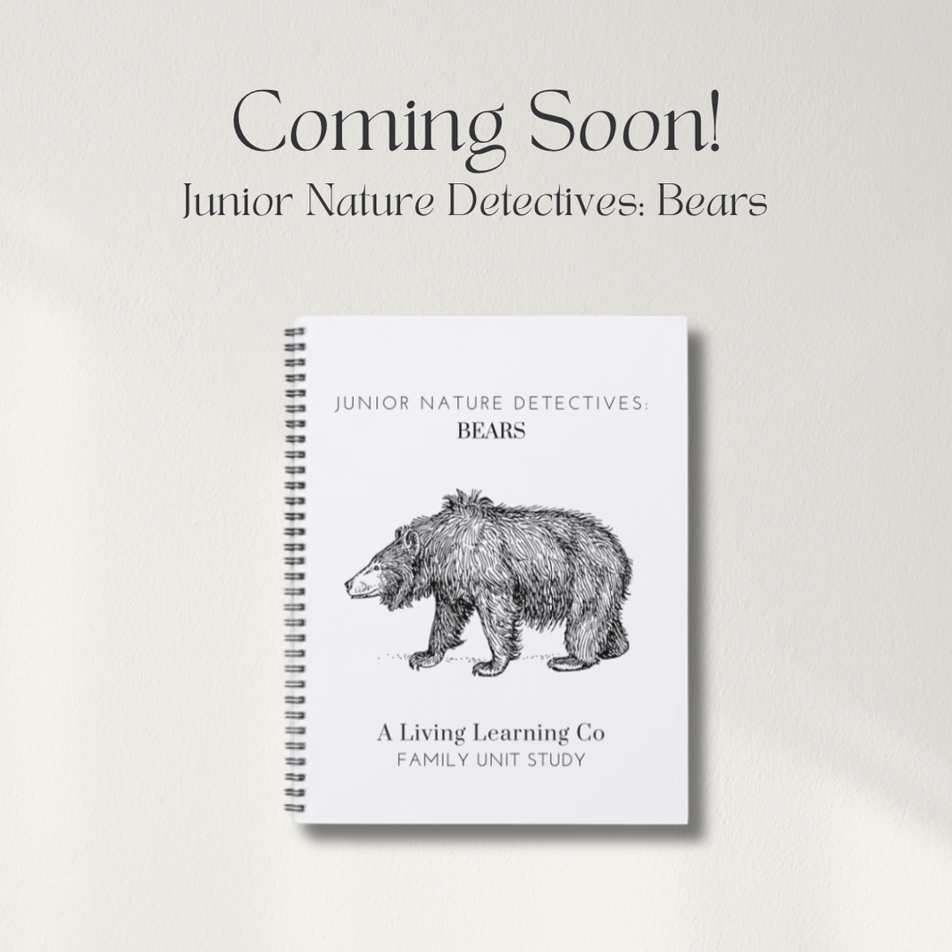 Coming Soon: Junior Nature Detectives – A Living Learning Co